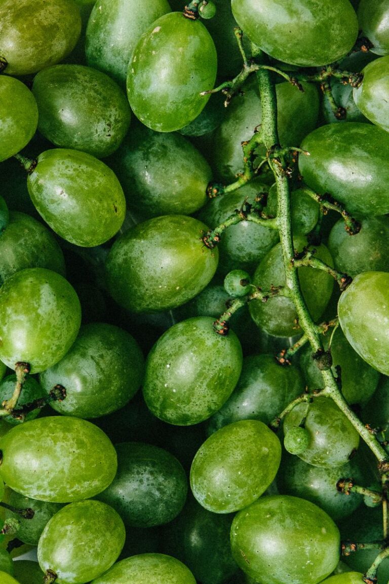 GREEN FRUIT (WITH NAMES AND PICTURES) - deliciouslynikki.com