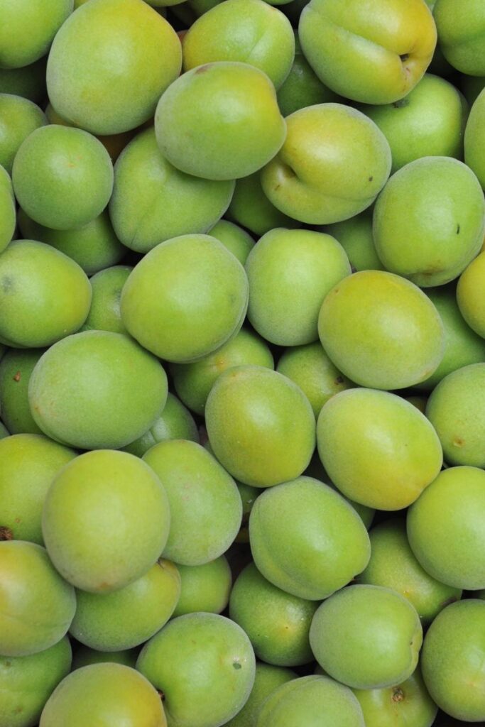 GREEN FRUIT (WITH NAMES AND PICTURES) - deliciouslynikki.com