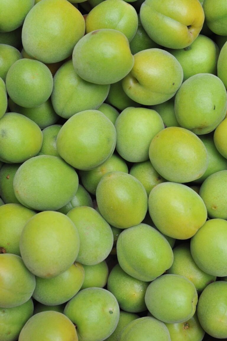GREEN FRUIT (WITH NAMES AND PICTURES) - deliciouslynikki.com