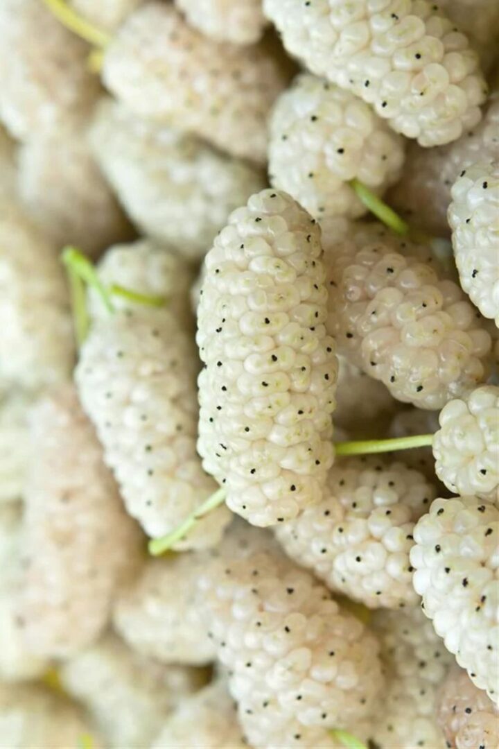 WHITE FRUIT (WITH PHOTOS) - Delciously Nikki