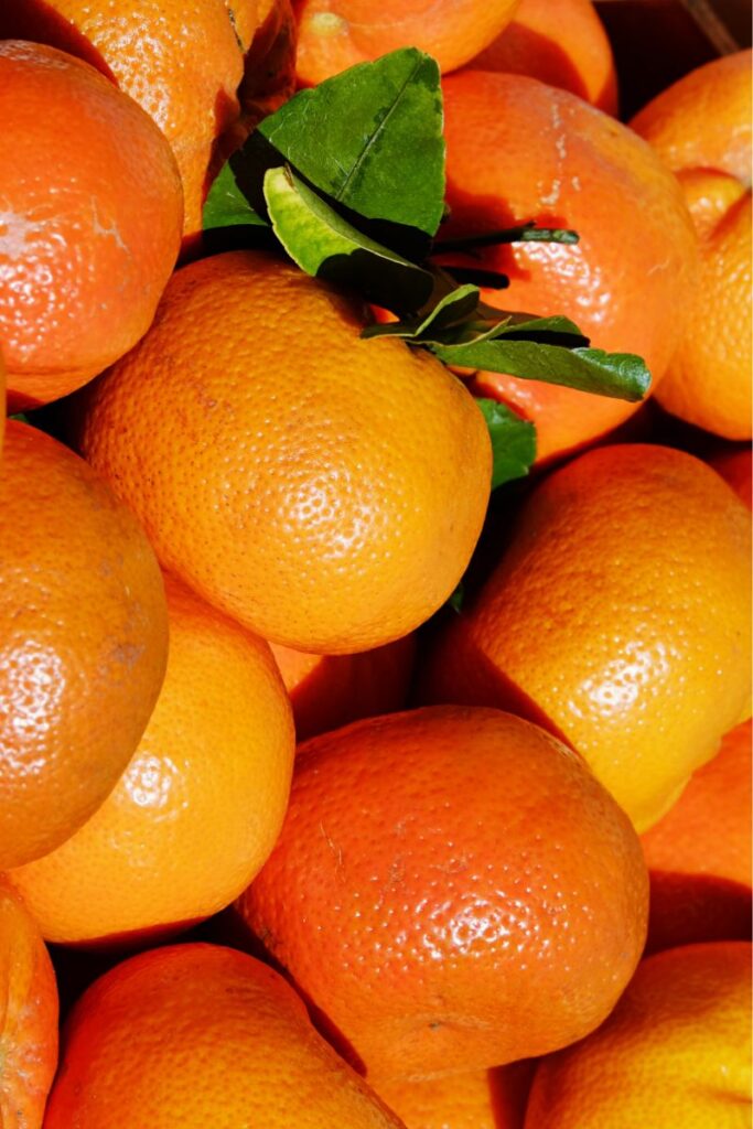 ORANGE FRUIT (WITH NAMES AND PICTURES) - Delciously Nikki