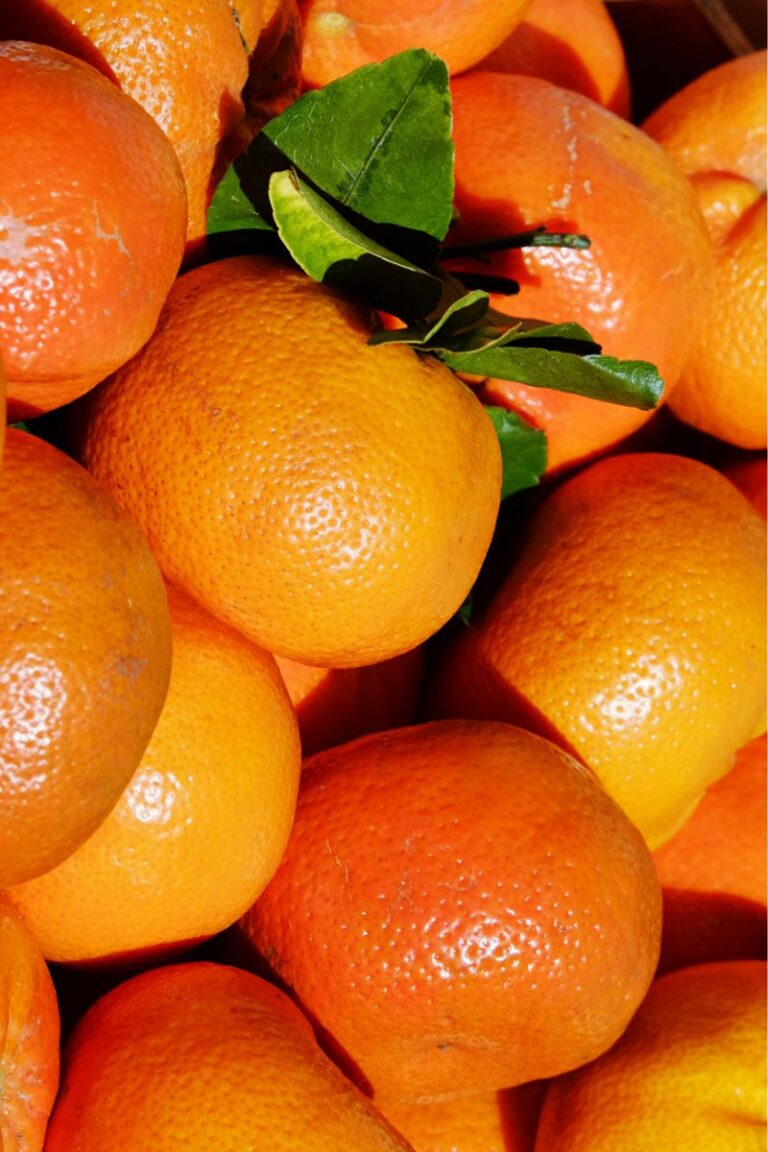 ORANGE FRUIT (WITH NAMES AND PICTURES) - Delciously Nikki