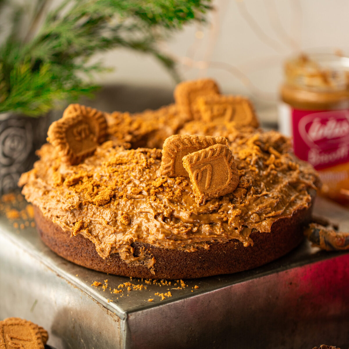 LOTUS CAKE (VEGAN) - Delciously Nikki