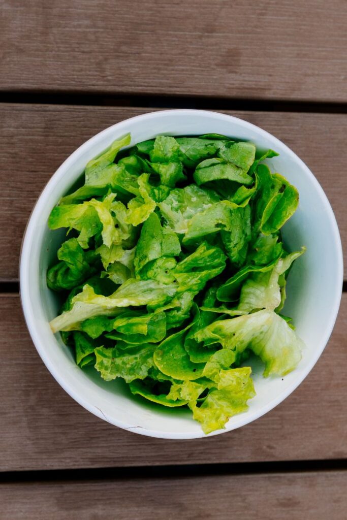 BEST LETTUCE FOR BURGERS (WITH PICTURES!) - Delciously Nikki