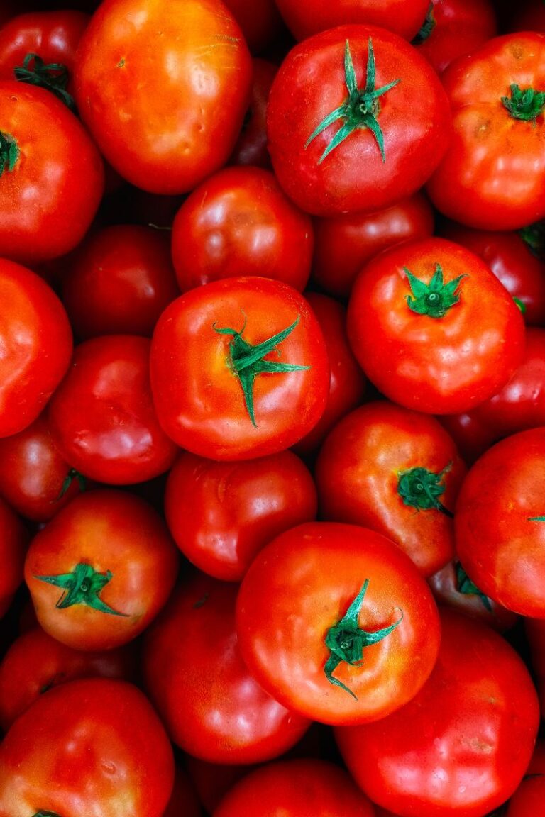 TOMATO PUREE SUBSTITUTE (+ A CHART!) - Delciously Nikki